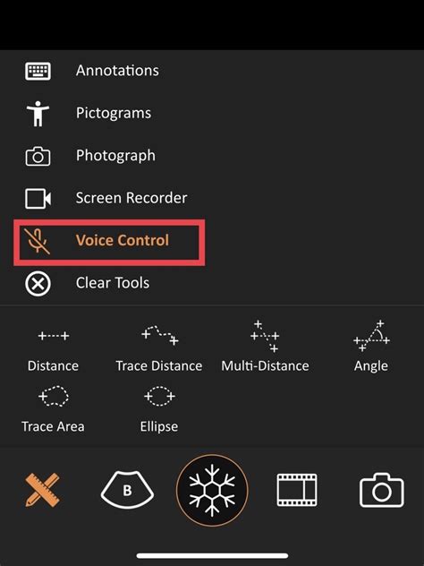 Voice Control Command Dictionary Clarius Support