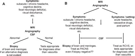 Figure 1 From Primary Angiitis Of The Central Nervous System In Adults