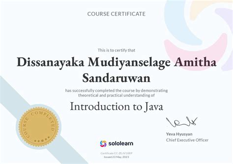 Amitha Sandaruwan On Linkedin Introductiontojava Sololearn Certificate
