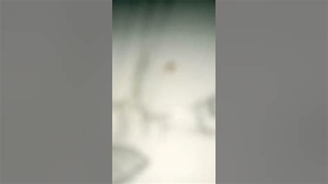 Sonic Knuclessonicofilme2 Youtube