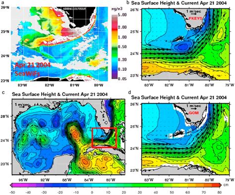 A Satellite Data Derived Ocean Color Image From Seawifs For 21 April Download Scientific