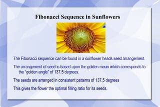 Fibonacci Sequence ODP