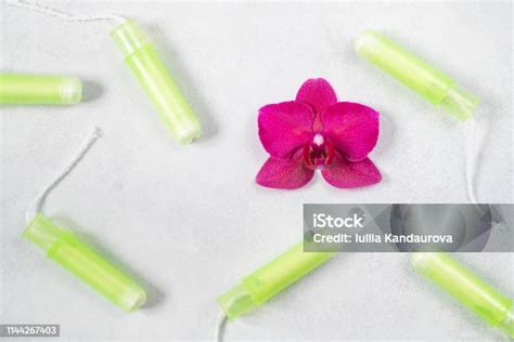 밝은 회색 배경에 난초와 코 튼 탐폰 중요 한 일의 개념 생리 또는 여자의 건강 평면도 평 신도 개념에 대한 스톡 사진 및 기타 이미지 Istock