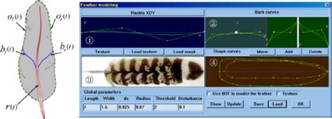 Figure 1 From Modeling And Rendering Of Realistic Feathers Semantic