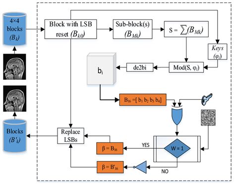 block diagram for embedding watermark download scientific diagram