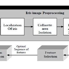 Block Diagram For Iris Pattern Recognition Download Scientific Diagram