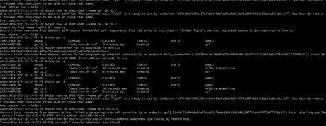 Docker Run Issue Issue QT DevOps DevOpsIssues GitHub