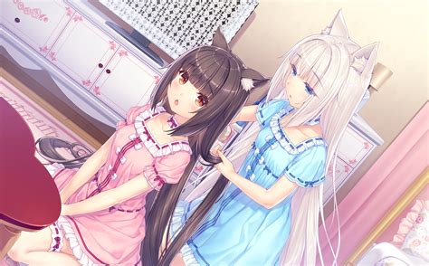 Nekopara Hd White Hair Chocola Nekopara Brown Eyes Maid Brown