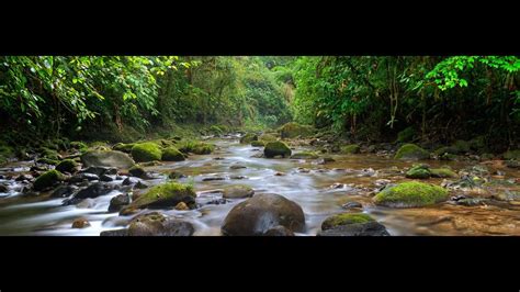 Sex And Politics Youtube