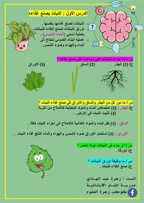 Summary Of The First Lesson First Semester Plants Make Their Own Food