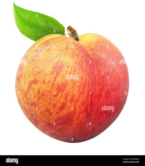 Isolated Peach Whole Single Peach Fruit With Leaf Isolated On White