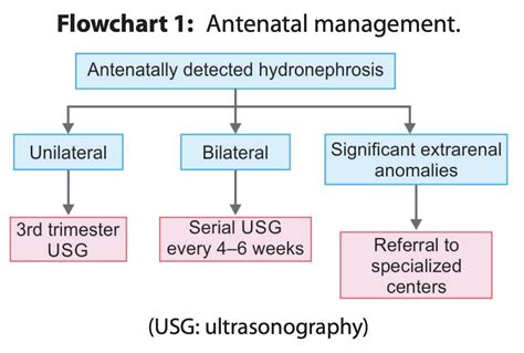 Approach And Management Of Pediatric Hydronephrosis Epomedicine