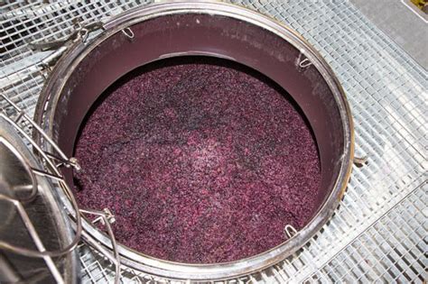 Tout Savoir Sur La Fermentation Malolactique Du Vin