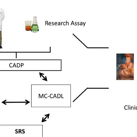 Overview Of The Workflow Of The Clinical Assay Development Program