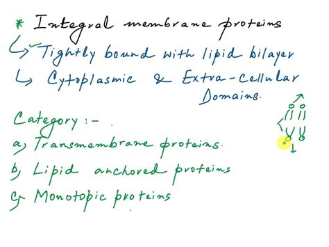 Solved You Construct A Hydropathy Plot Based On An Amino Acid Sequence Of A Protein That You