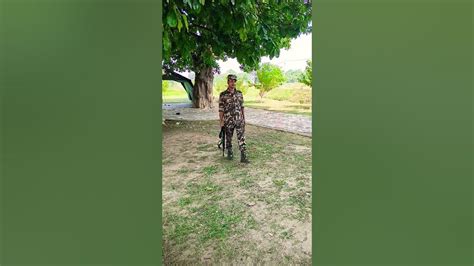 🐱stf 🐱commando 🐆 Youtube