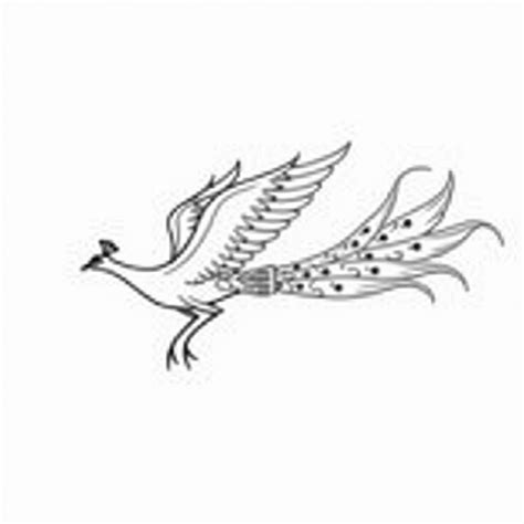 Flying Peacock Outline Artwork Stable Diffusion Online