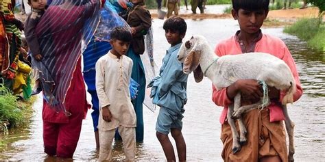 Пакистан страждає від масштабної повені третина країни пішла під воду