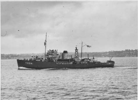 Bird Class Minesweeper Wikipedia