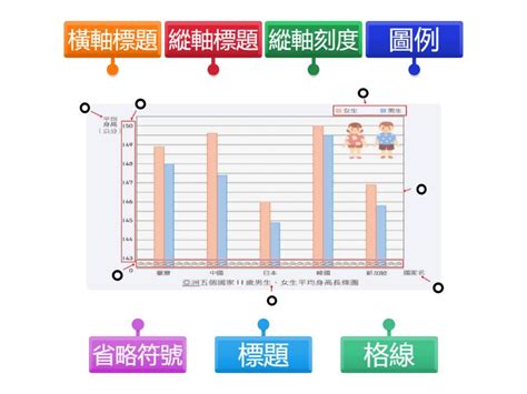 統計圖表 標籤圖表