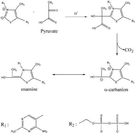 Mechanism For The Formation Of The Adduct Between The C Atom Of TPP Download Scientific