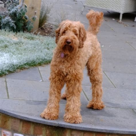 Julia Lawley Youtube