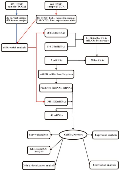 The Flowchart Of Data Collection And Analysis Download Scientific
