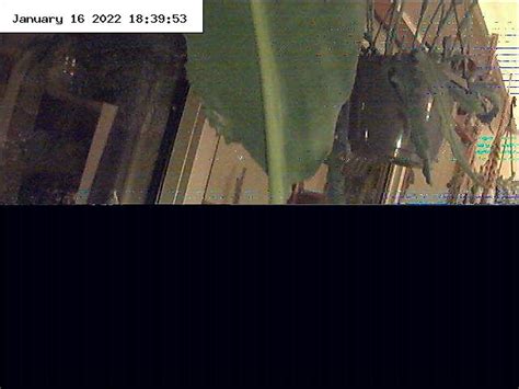 vc0706 image stuck with esp32 networking protocols and devices