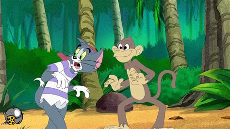 فیلم انیمیشن موش و گربه، جویندگان گنج فیلو