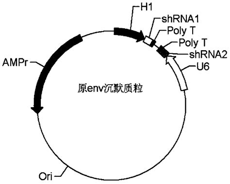 Vector System For Transforming Packaging Cell Tropism Of Retrovirus And