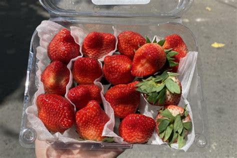 DÂu TÂy ViỆt Eus Fruit