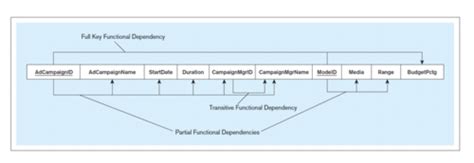 Ch 4 Update Operations Update Anomalies And Normalization Flashcards Quizlet