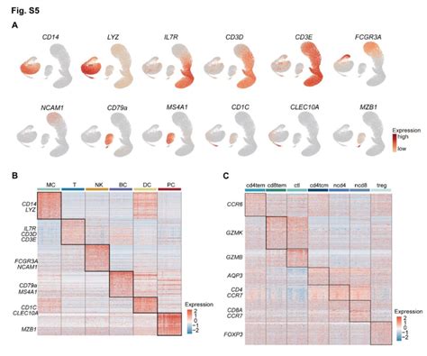 Figure S5 Clustering Of Pbmc A Feature Plots Showing Marker Gene