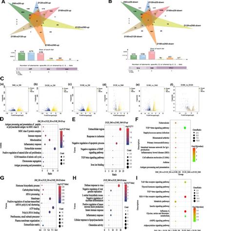 Trend Analysis For All Rna−seq Genes Cluster Analysis And Gene Download Scientific Diagram
