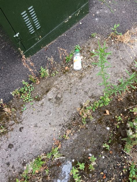 Yorai Detect Waste Datasets At Hugging Face