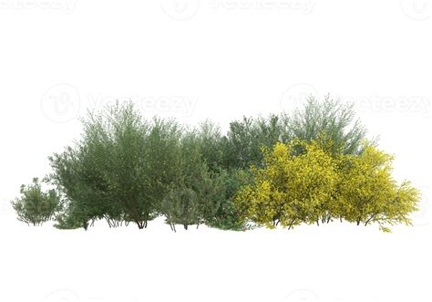 Tree Photoshop A Creative Landscape Architecture Graphics