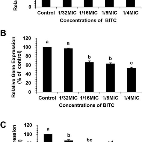 Effect Of Different Bitc Concentrations On The Transcription Of Hila Download Scientific