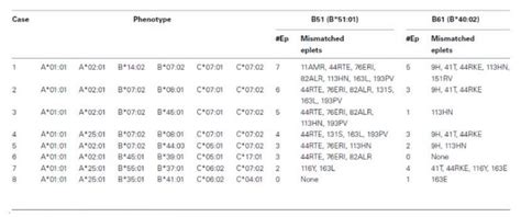 New Approaches In HLA Matching HLA Matchmaker