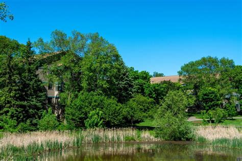 Brighton Pond Apartments New Brighton Mn Apartments For Rent