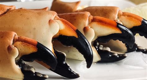 Atlanta Stone Crab Claws