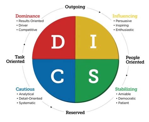 Disc Profiling Practitioner Coaching Learningzone Development