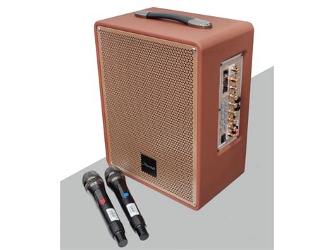 Loa kéo Microtek MTK W META vn