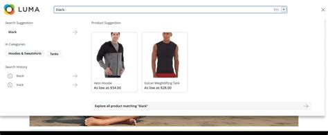 magento 2 search suggestion autocomplete search