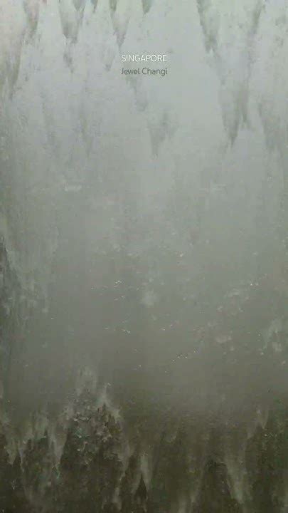 싱가포르 공항에 간다면 무조건 가야할 곳💎💎💎 Youtube