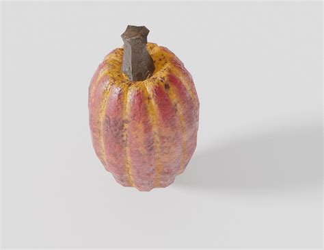 Cocao Bean 3d Model Turbosquid 1959255