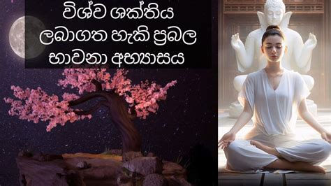 විශ්ව ආකර්ෂණ නීතිය සදහා ප්‍රබල භාවනා අභ්‍යාසය මෛත්‍රී භාවනාව ඇසුරෙන් 🙏🧘‍♀ Sinhala Youtube