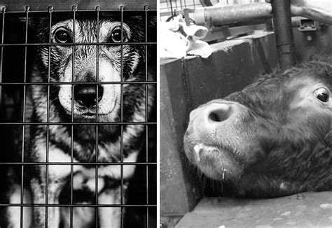 Inconsistent Behavior 10 Examples Careelite