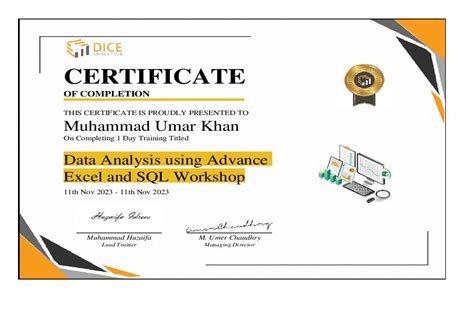 Dataanalysis Excel Sql Certification Datainsights Umar Gigyani