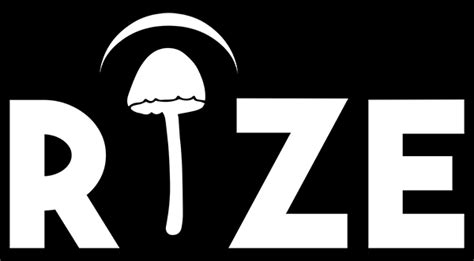 5g Puffed Crunch Mushroom Chocolate Bar Rize Mushrooms