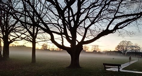 Gamestonk Terminal Investment Research Tool Linuxlinks